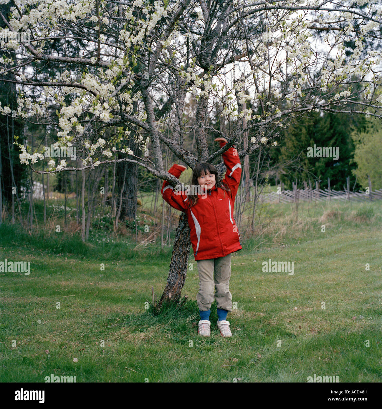 A girl standing under a tree Stock Photo - Alamy