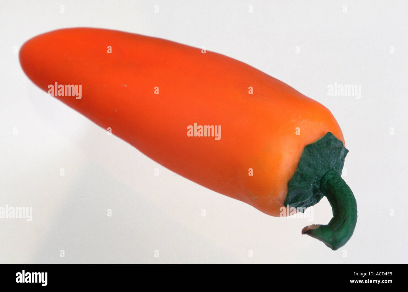 Orange Pepper Capsicum annuum Stock Photo - Alamy