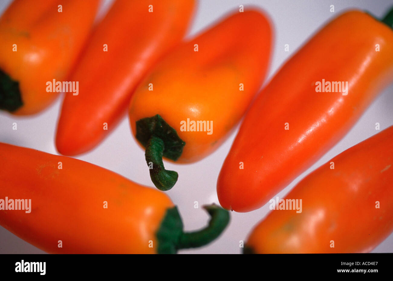 Orange Pepper Capsicum annuum Stock Photo - Alamy