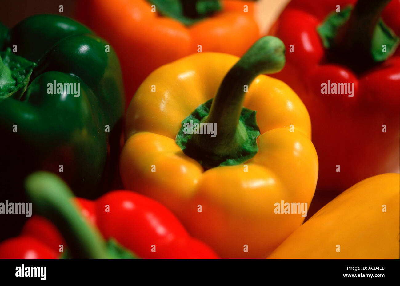 Pepper Capsicum annuum Stock Photo - Alamy