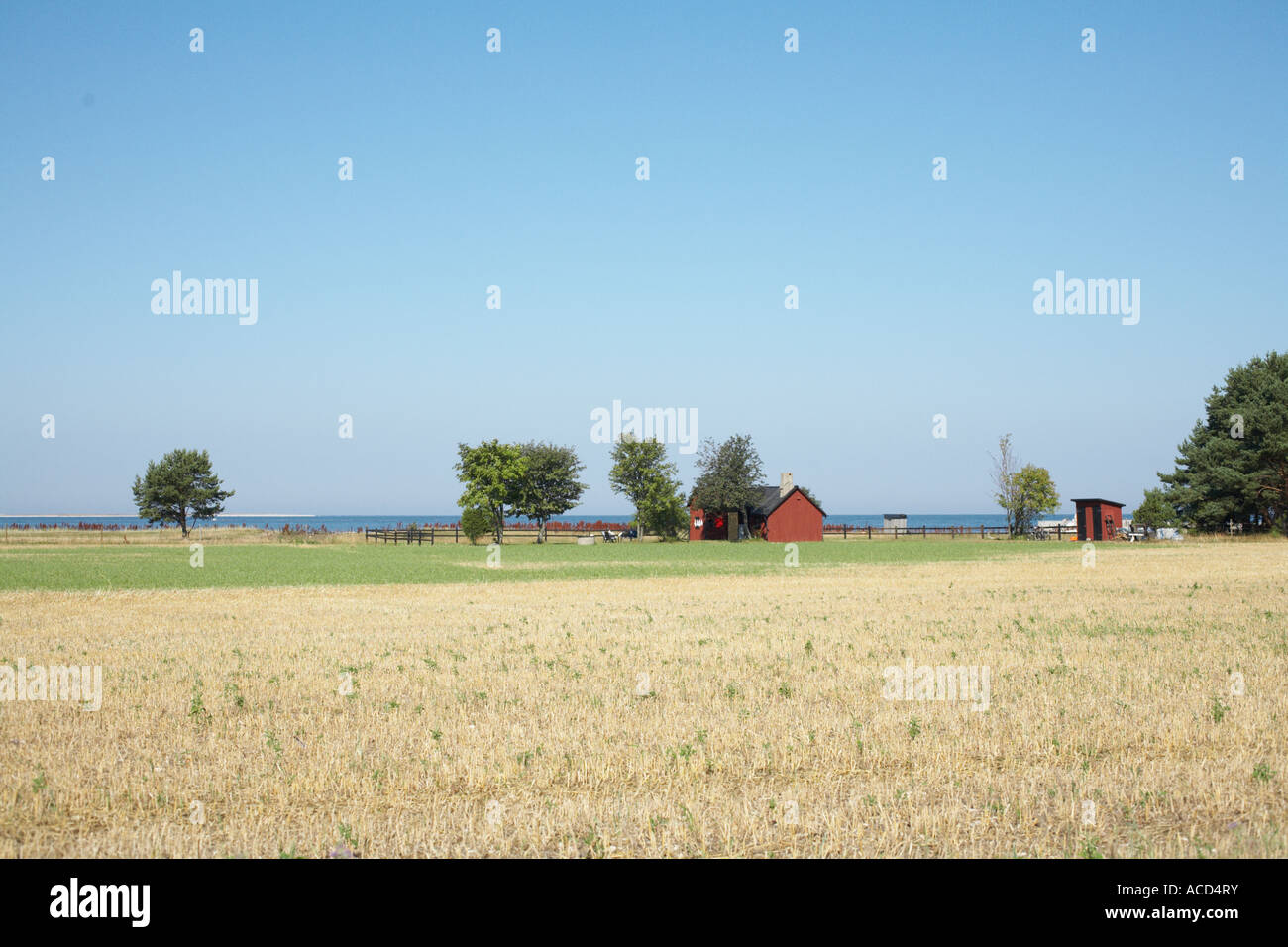 View over fields in Gotland Sweden Stock Photo - Alamy