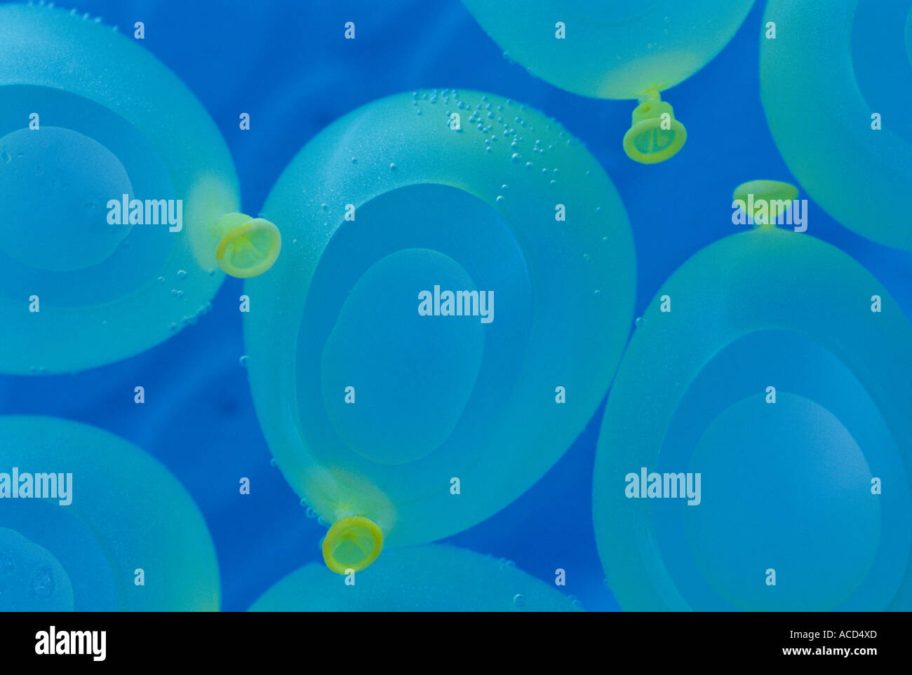 Water balloons in pool floating yellow and blue balloons patterns ...