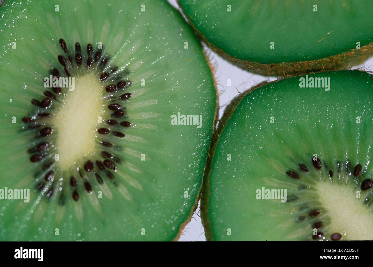 Chinese Gooseberry fruit Actinidia chinensis Actinidia deliciosa Stock ...