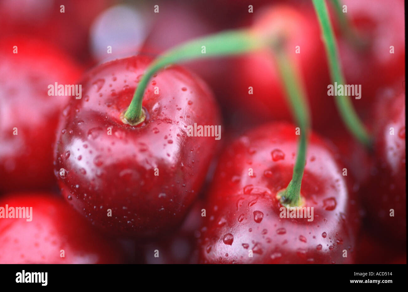 Masse organisch hi-res stock photography and images - Alamy