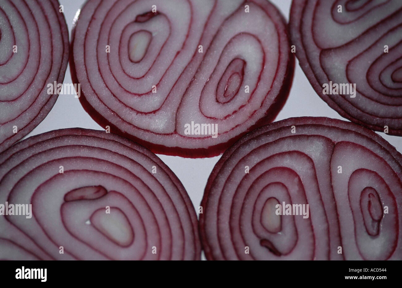 Red onions Allium cepa Stock Photo - Alamy
