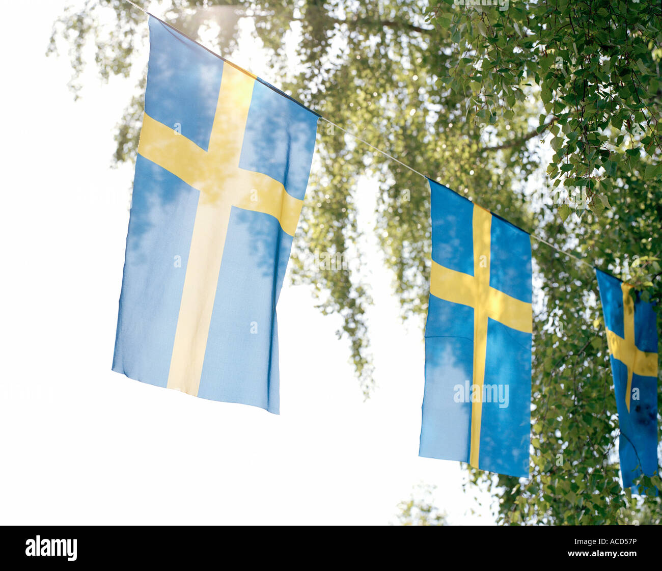 Swedish Flag Swedish Flag Flag Flag High Resolution Stock Photography ...
