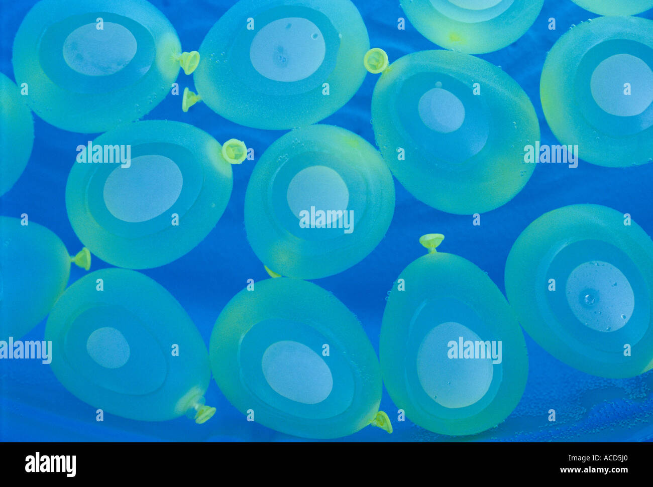 Water balloons in pool floating yellow and blue balloons patterns ...