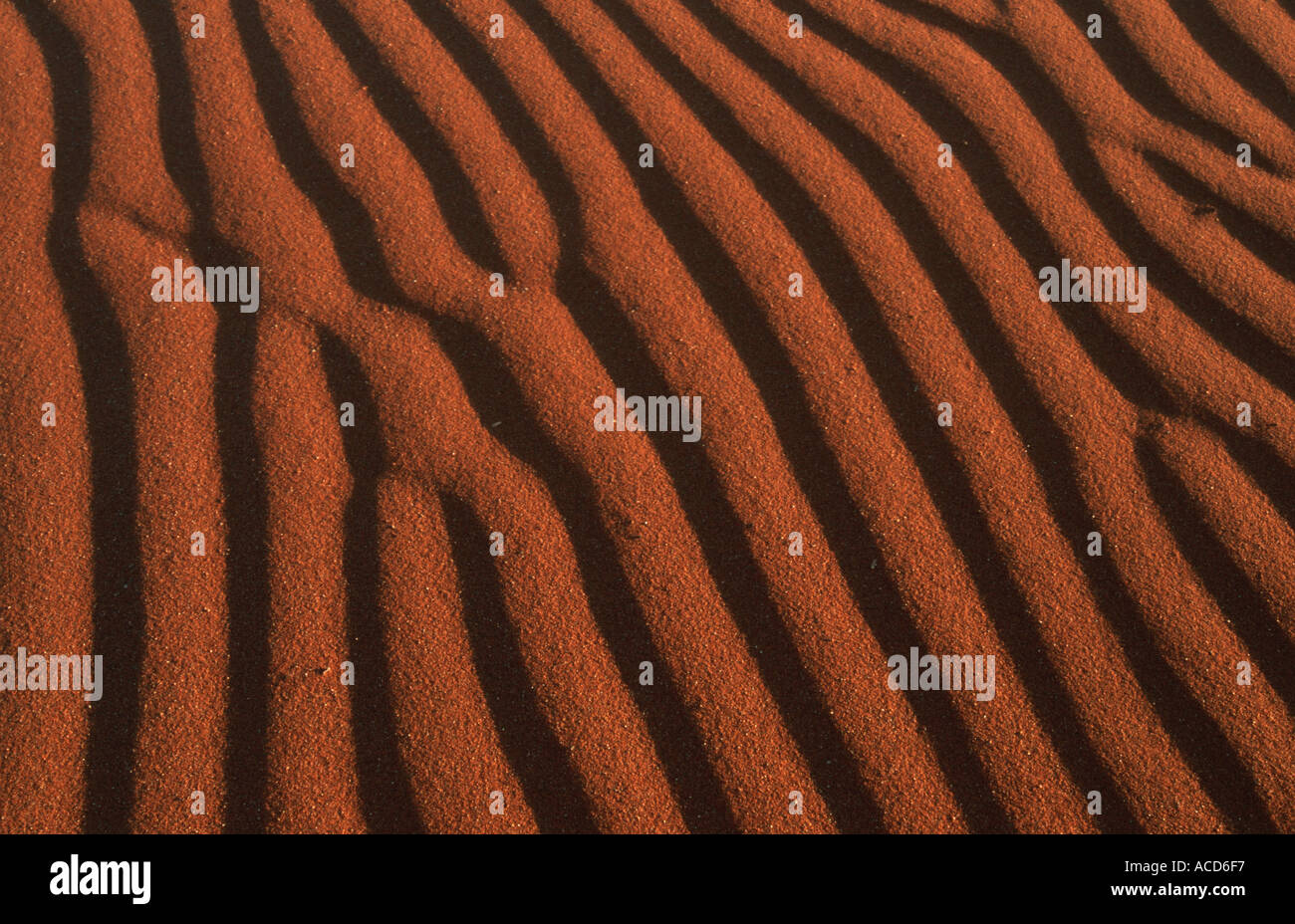 Sand structures Namib Naukluft Park Namib desert Namibia Stock Photo ...
