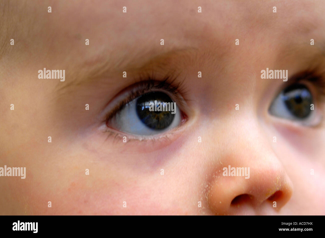 eyes detail caucasian face baby portrait one year boy male horizontal ...