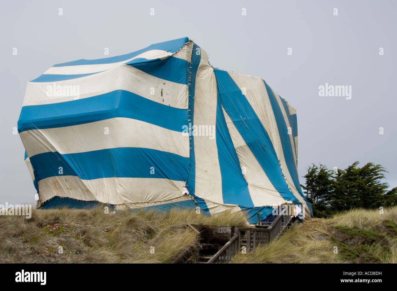 A house is all wrapped up to receive termite exterminators. It is in a ...