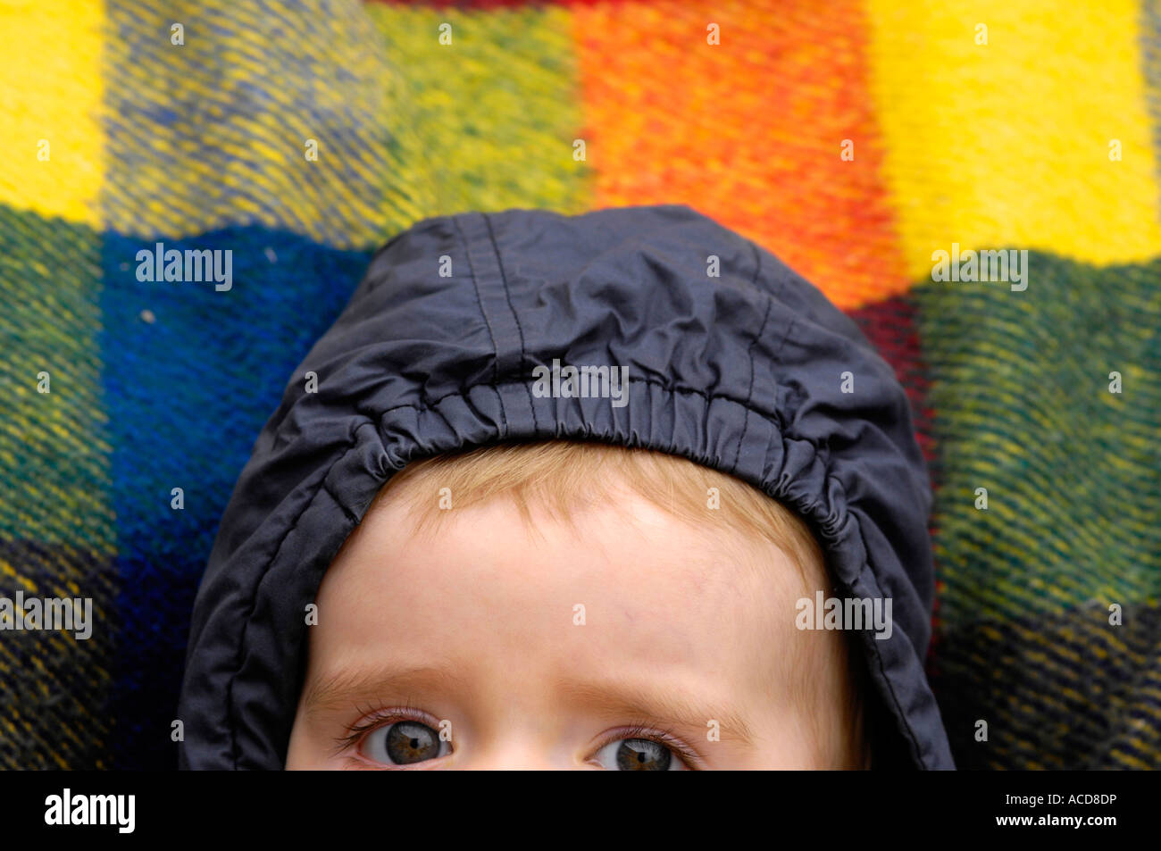 toddler hood face eyes baby one year colour color horizontal cute head ...