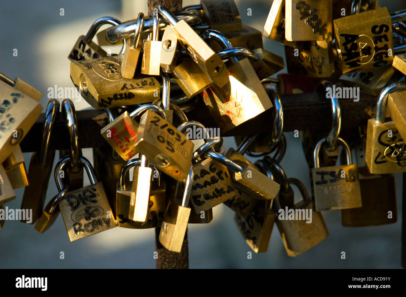 Padlocks on the Ponte Vecchio Florence Italy symbolizing everlasting ...