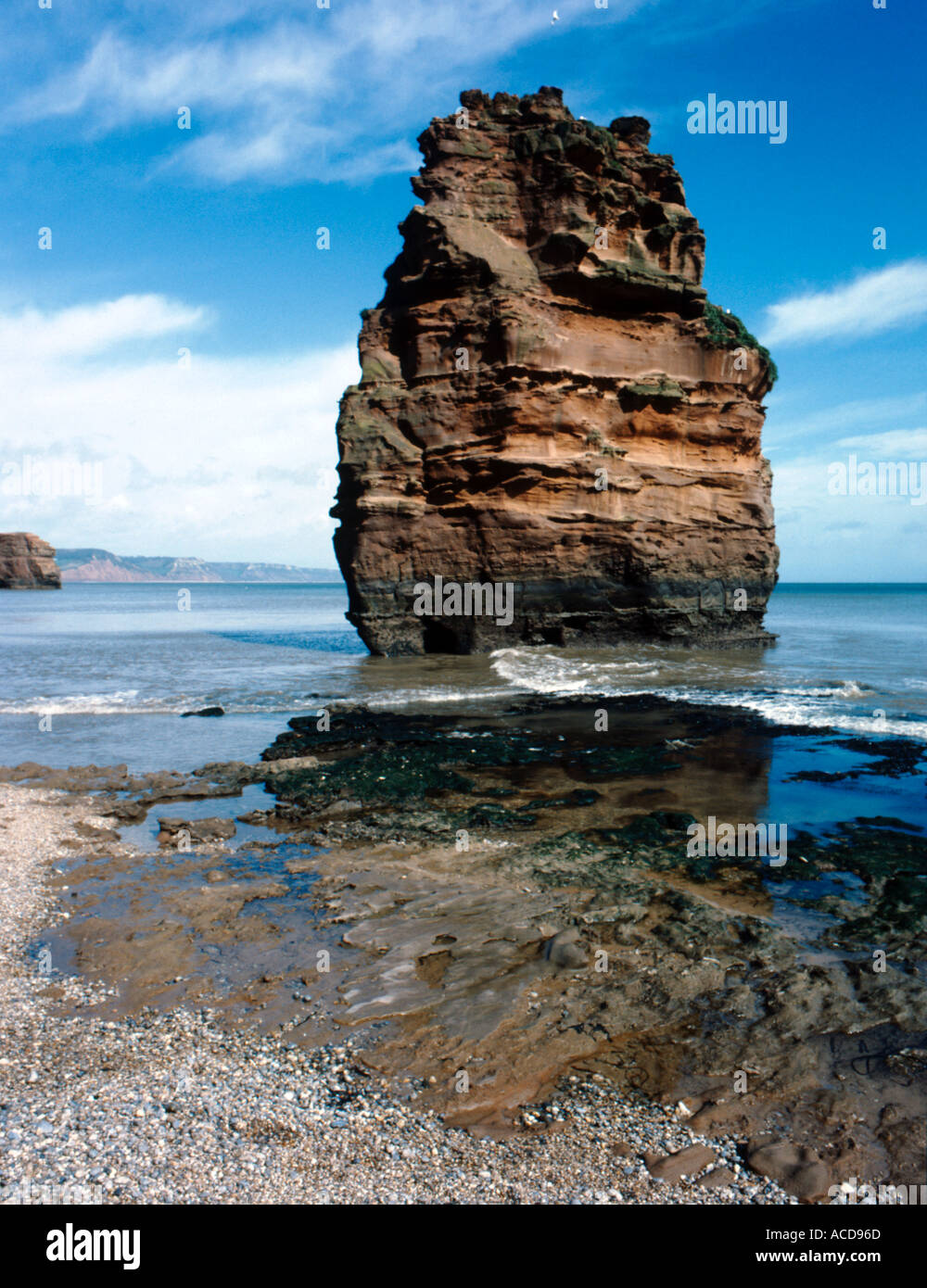 Rock Stack Ladram Bay Devon UK Stock Photo - Alamy