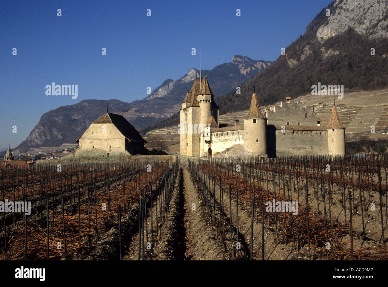 Switzerland Vineyard Castle Vaud Aigle Chateau Canton Vaud Wine ...