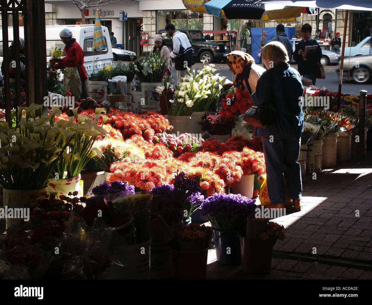 Flower Stall Adderley Street Cape Town South Africa Stock Photo - Alamy