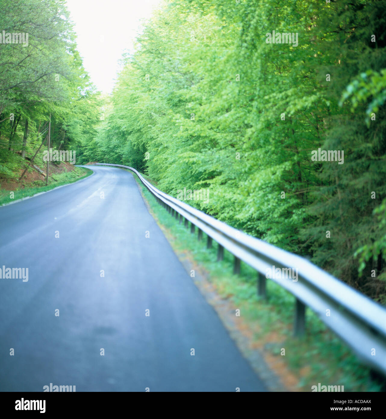 A deserted country road lined by a deciduous forest Stock Photo - Alamy