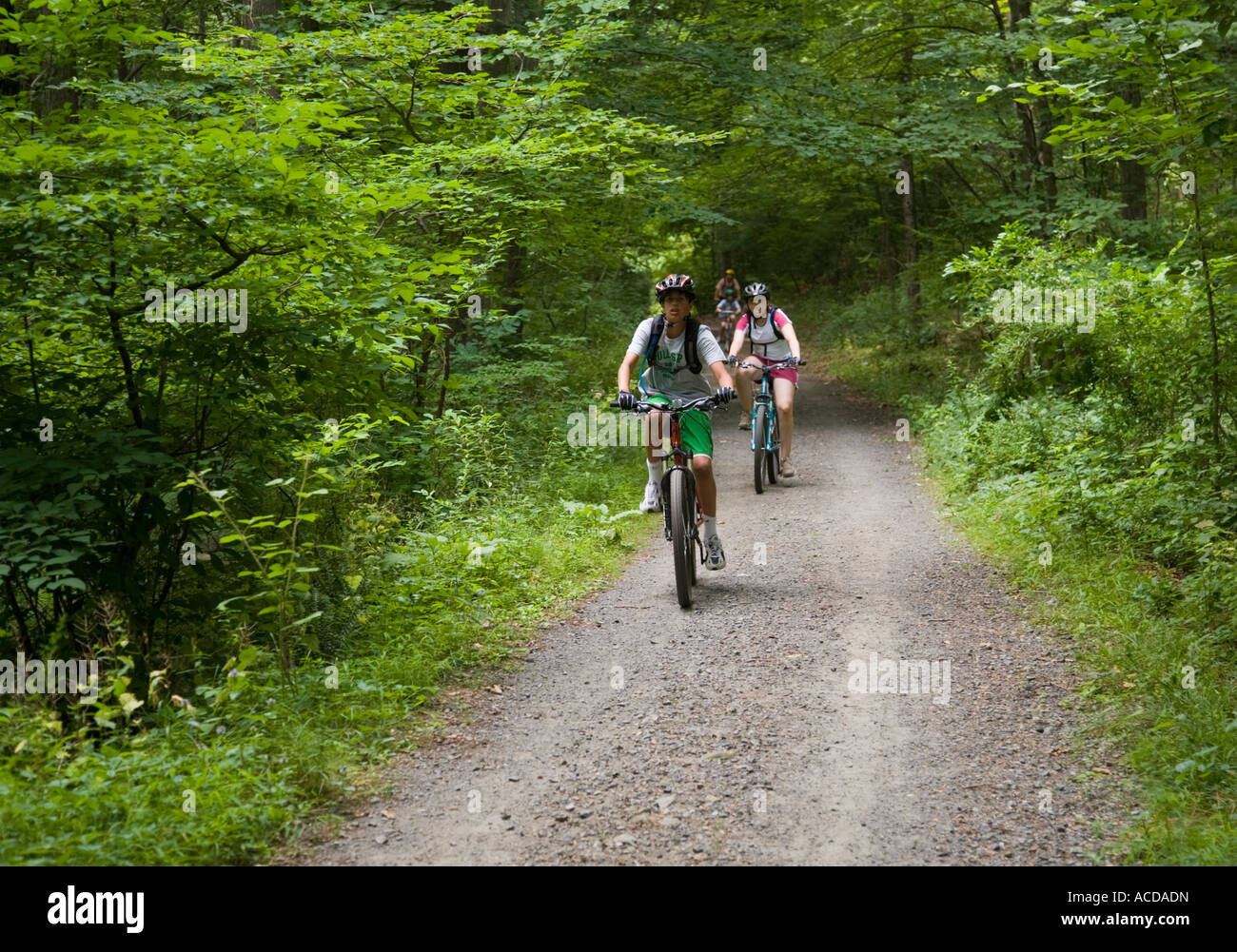 Bicycle riders on a path Stock Photo - Alamy