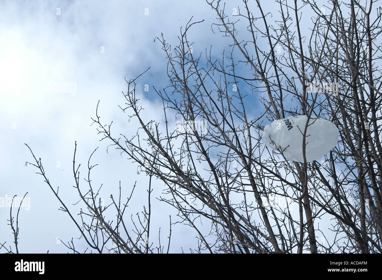 Garbage in tree hi-res stock photography and images - Alamy