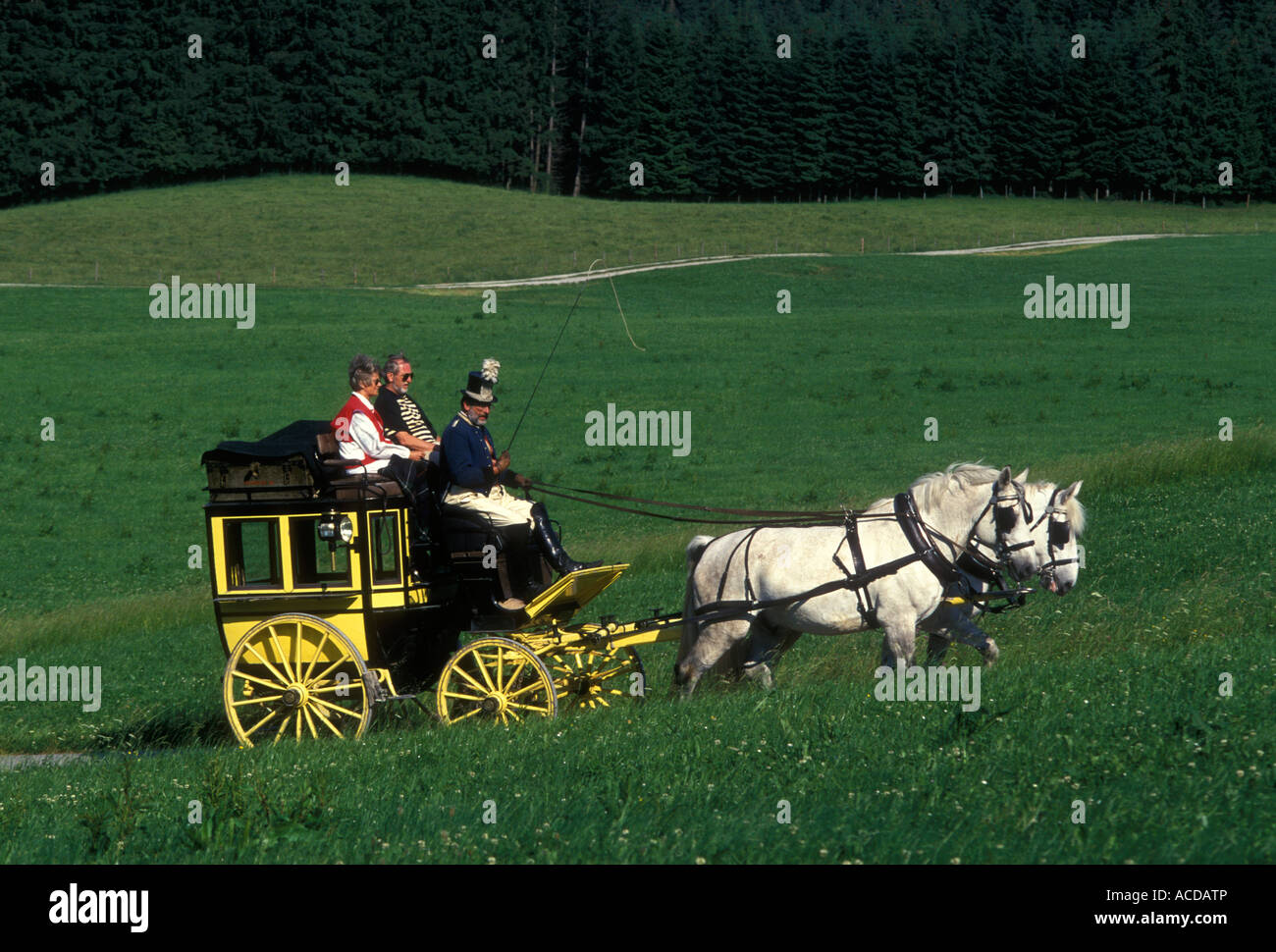 German people, German tourists, man, woman, couple, horse-drawn ...