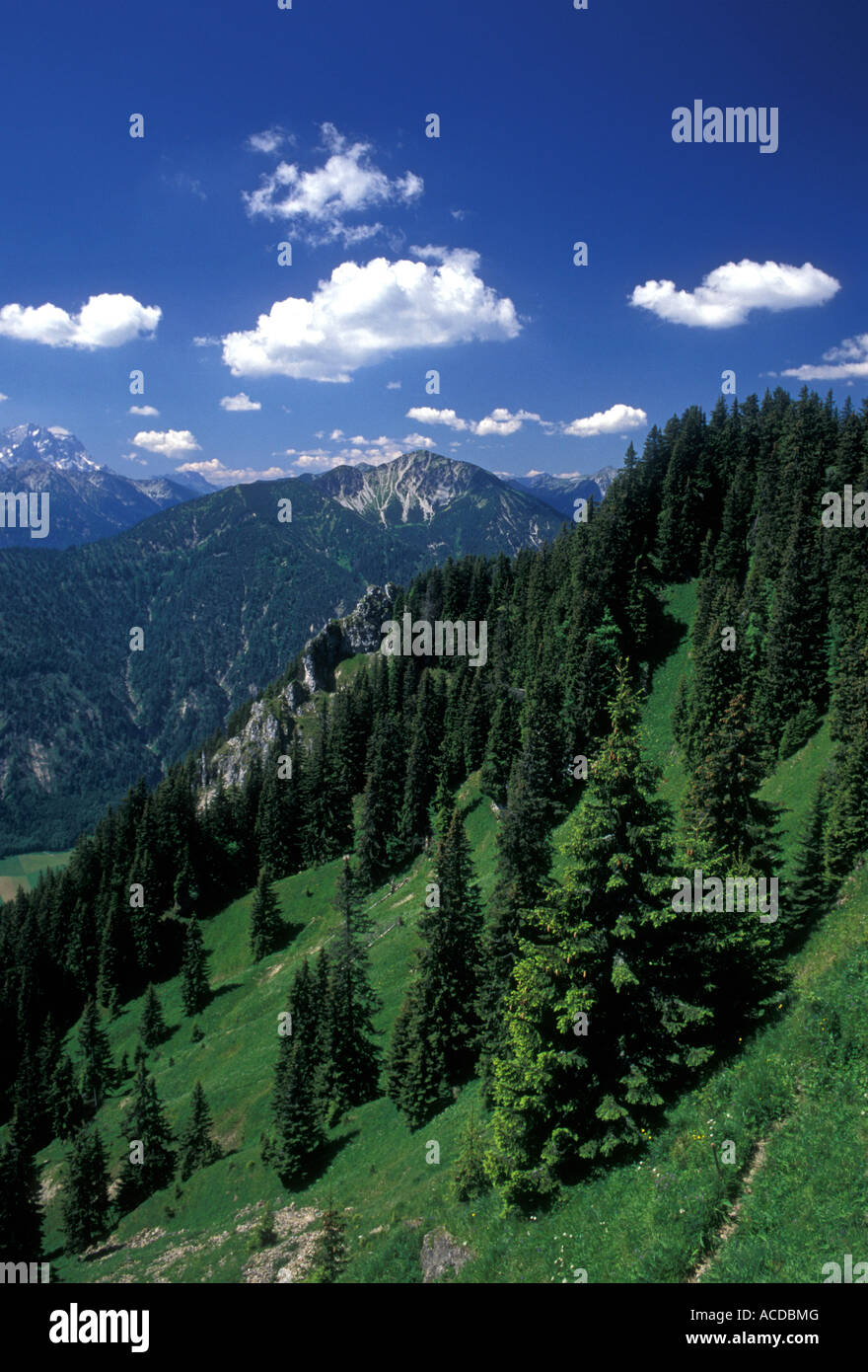 Laber valley hi-res stock photography and images - Alamy