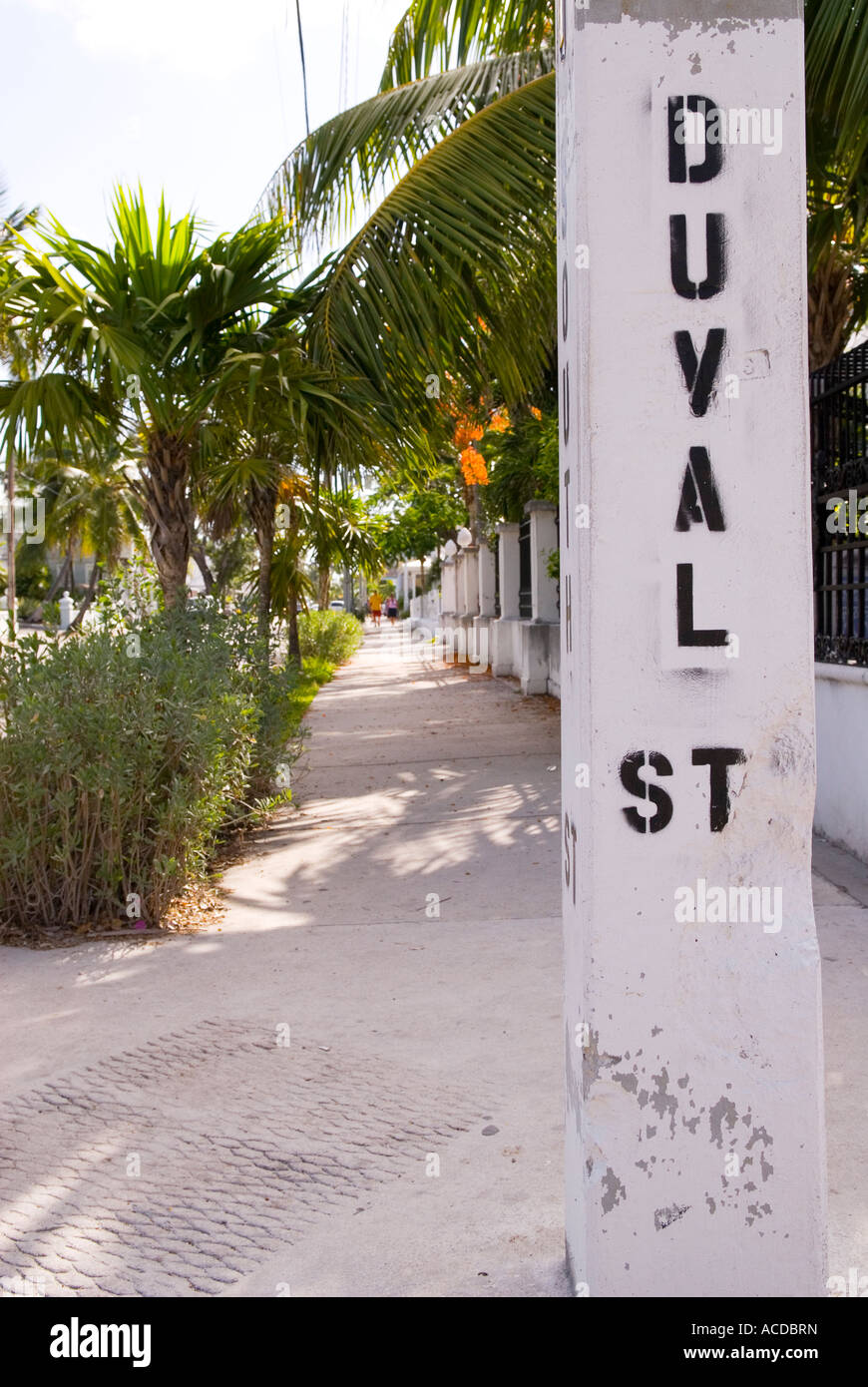 Duval Street, Key West FL, Florida Keys Stock Photo - Alamy