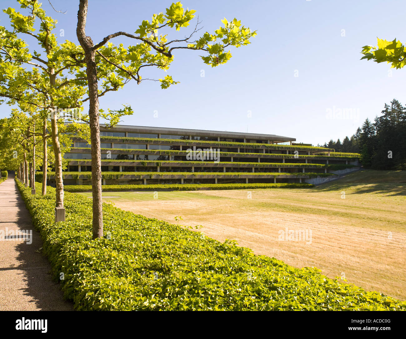 Weyerhaeuser Headquarters, near Tacoma, Washington, USA Stock Photo - Alamy