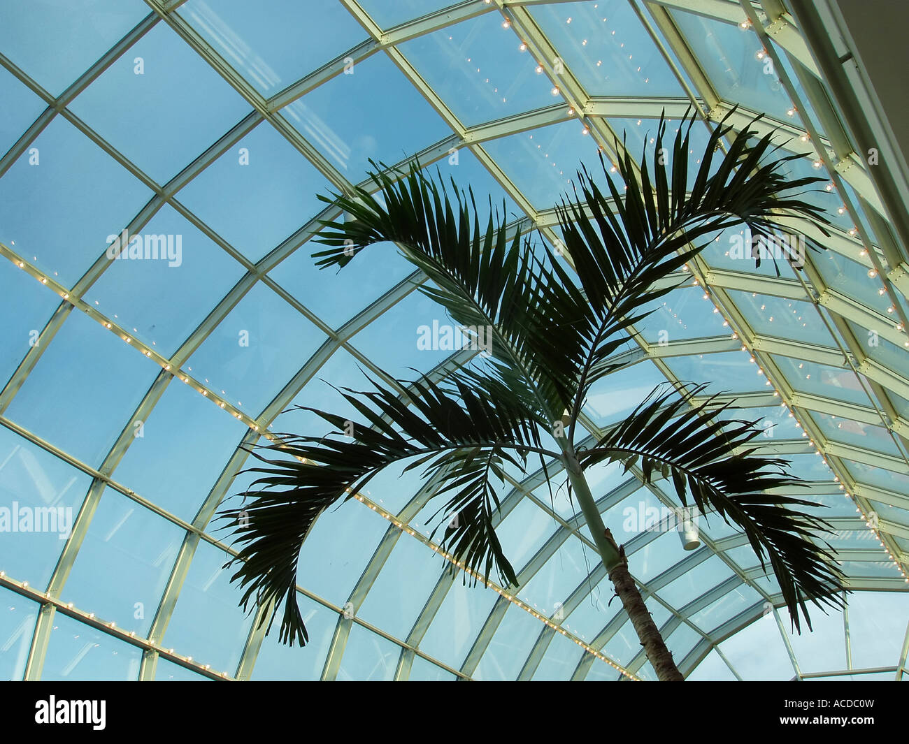 Plants under glass hi-res stock photography and images - Alamy