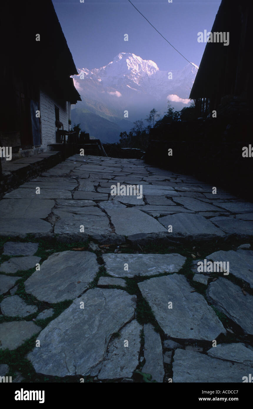 Stone pathway leading through small village in Himalayan foothills ...