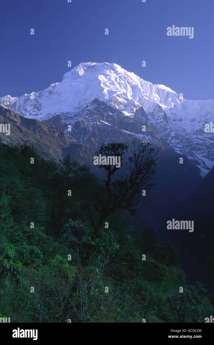 Chomrong village hi-res stock photography and images - Alamy