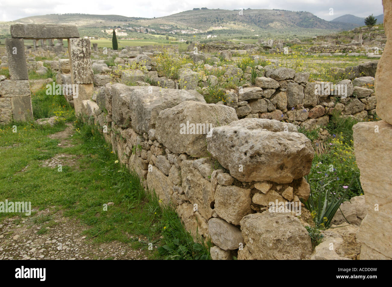 Ancient Roman ruins Unesco World Heritage site Volubilis Morocco North ...