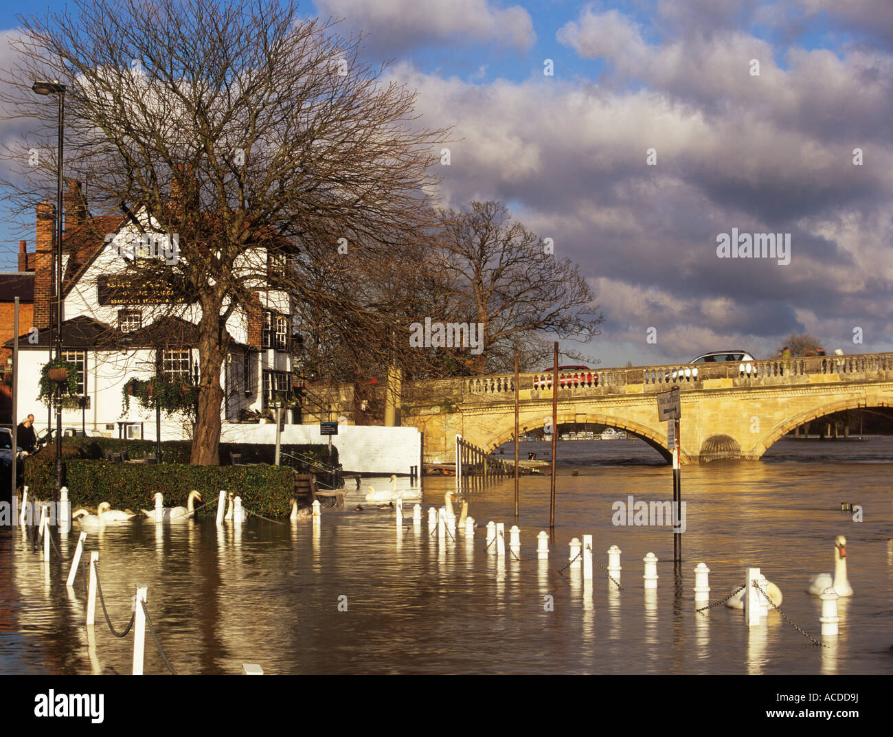 SWOLLEN RIVER THAMES in FLOOD near bridge Henley on Thames Oxfordshire ...