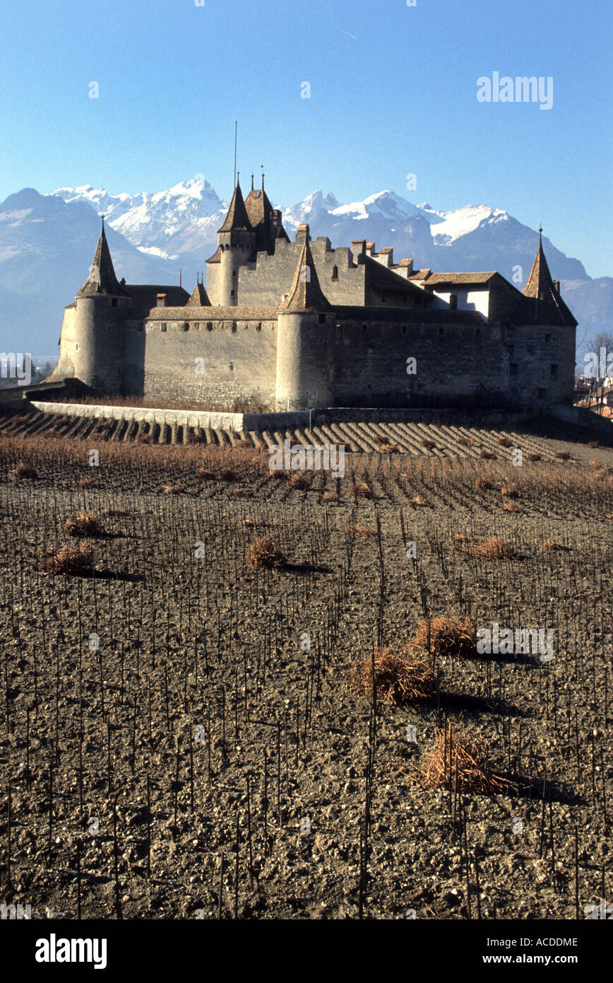 Switzerland Vineyard Castle Vaud Aigle Chateau Canton Vaud Wine ...
