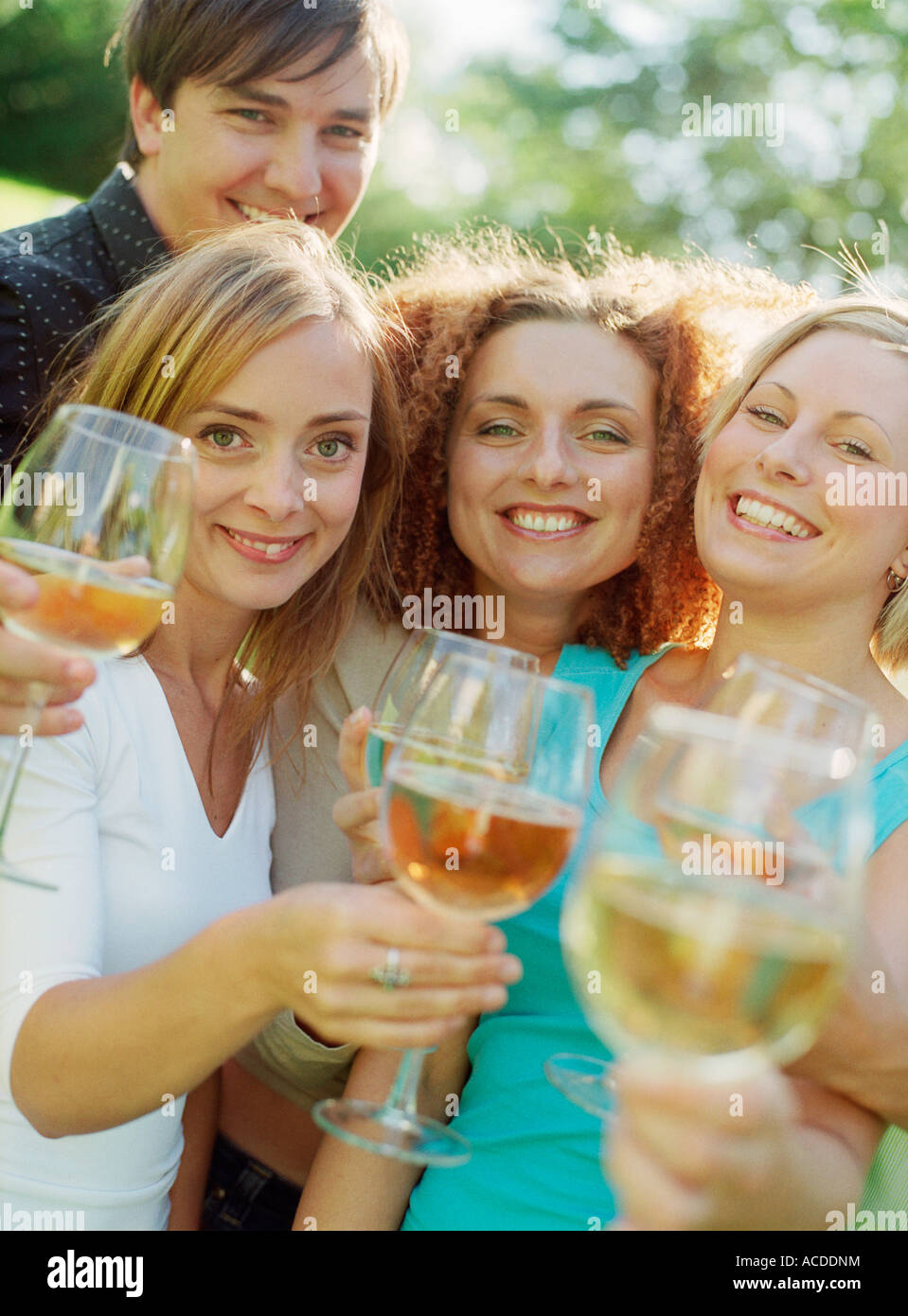 Group people toasting glass hi-res stock photography and images - Alamy
