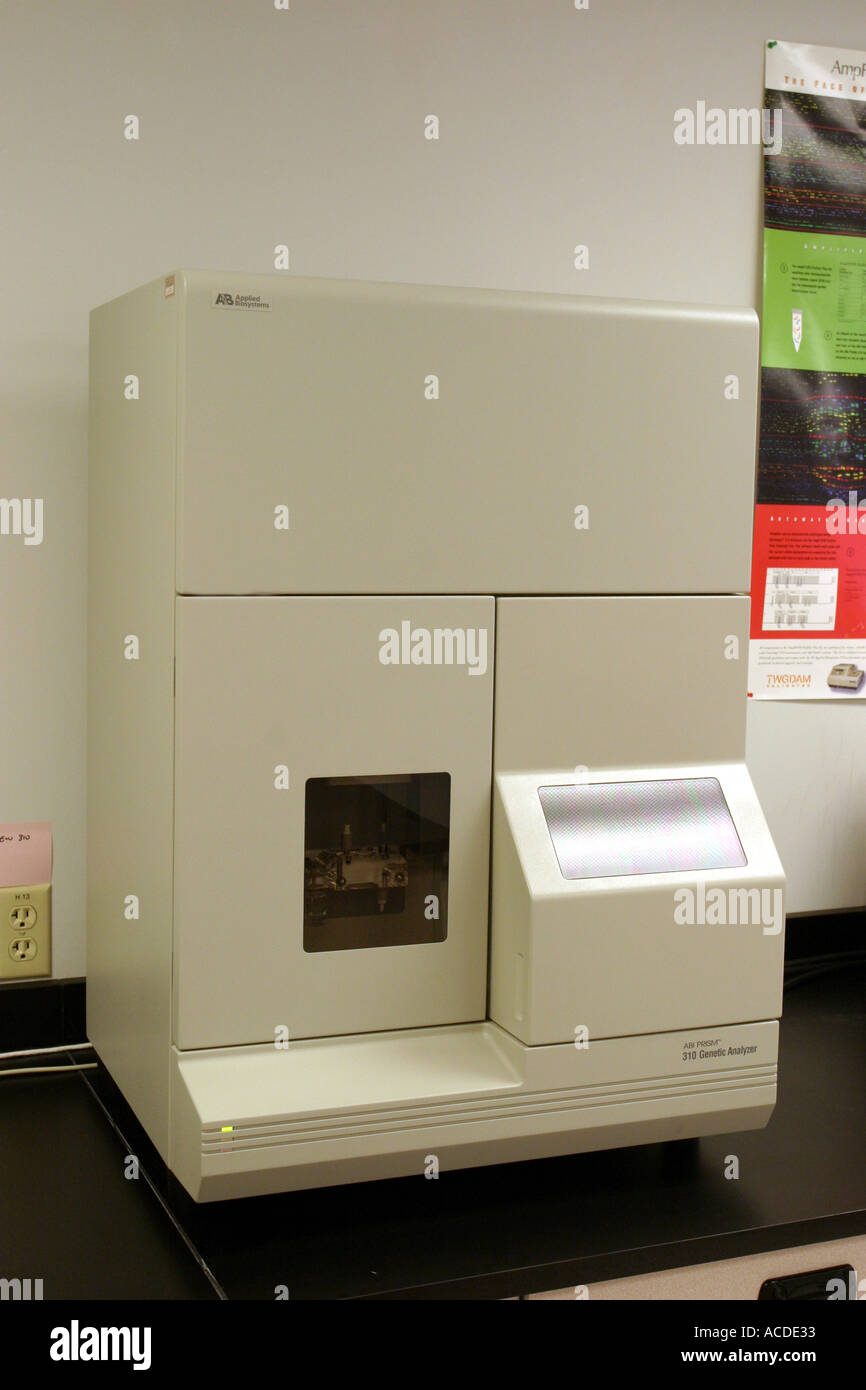 Dna sequencing linking crime lab hi-res stock photography and images ...