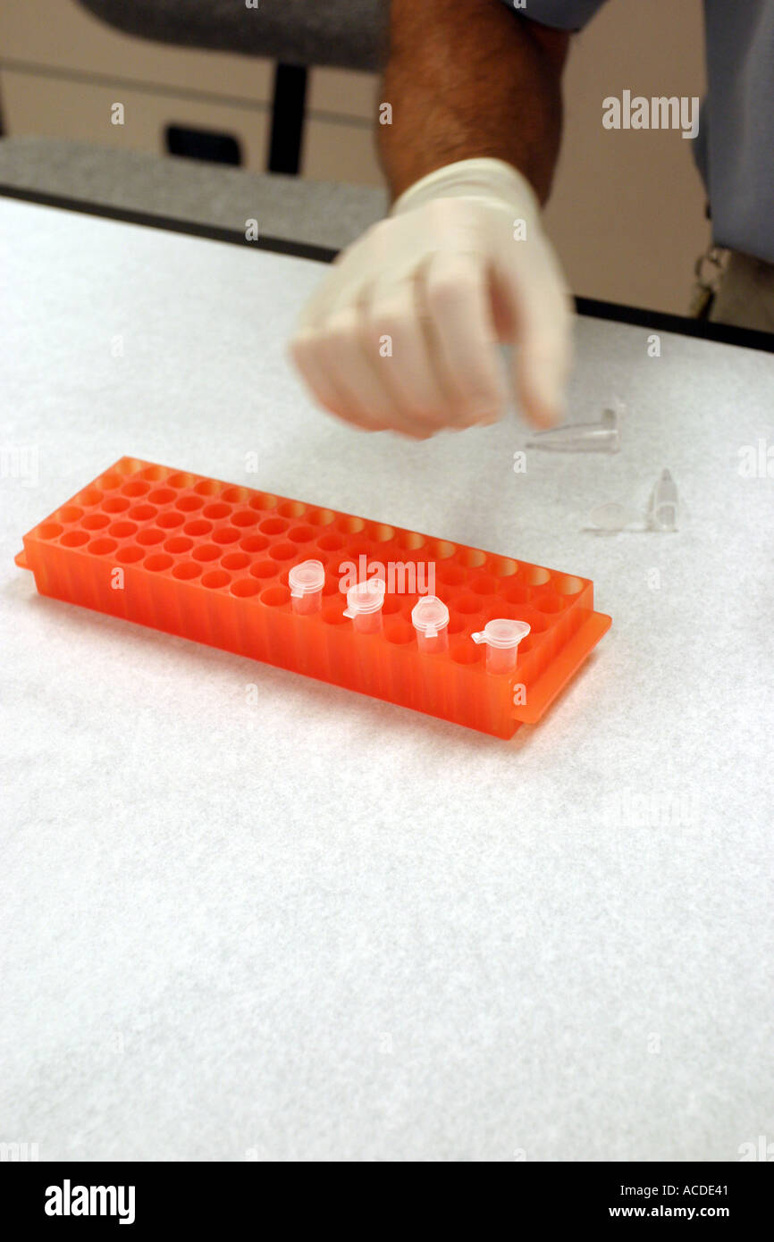 Senior laboratory specialist preparing DNA testing in the Nebraska ...