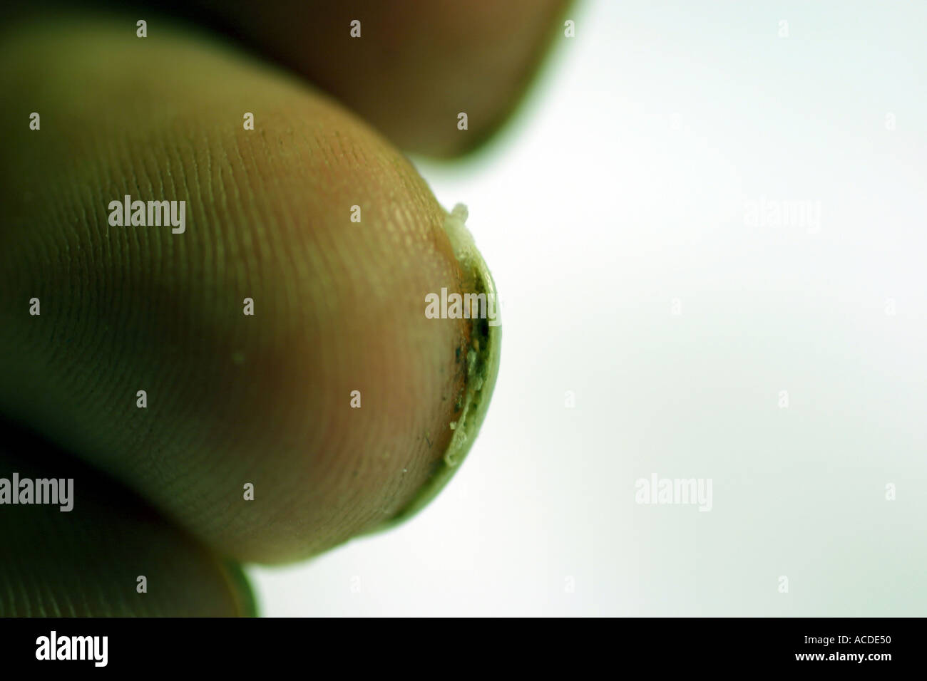 S forensics hi-res stock photography and images - Alamy