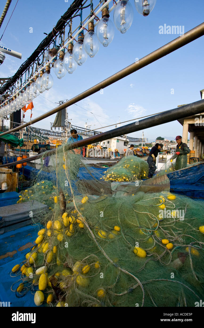 Pulling Nets and Removing Squid on Piers Cheongjin Fishing Village near ...