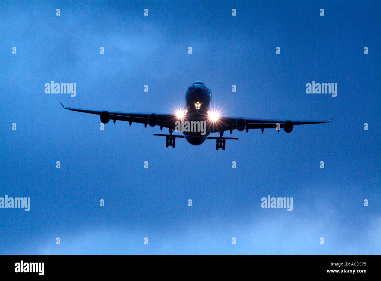 Good steer hi-res stock photography and images - Alamy