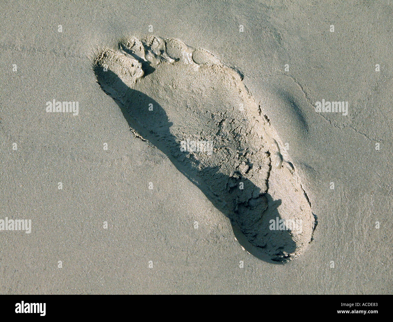 foot print footprint footprints in the mud Stock Photo - Alamy