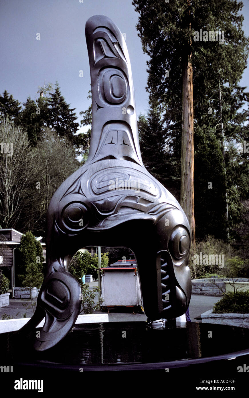 Native American Orca Whale Art