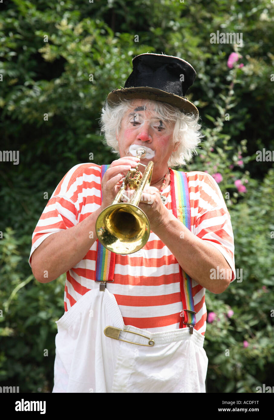 Clown trumpet hi-res stock photography and images - Alamy