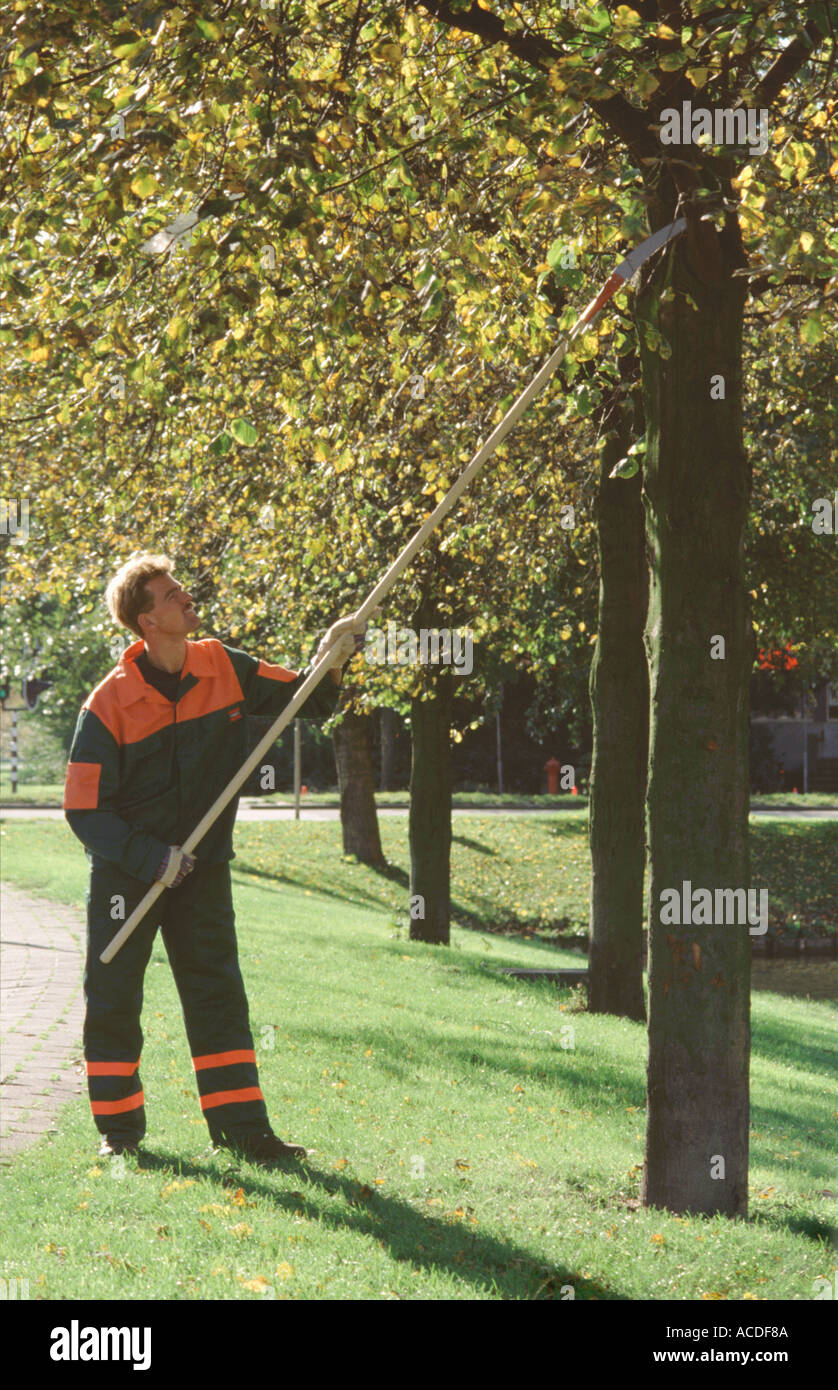 Sawing branch in suit hi-res stock photography and images - Alamy