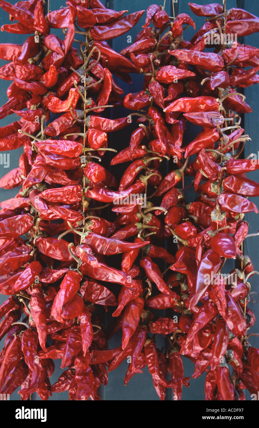 Red peppers the national food of Hungary hanging outside a shop in ...