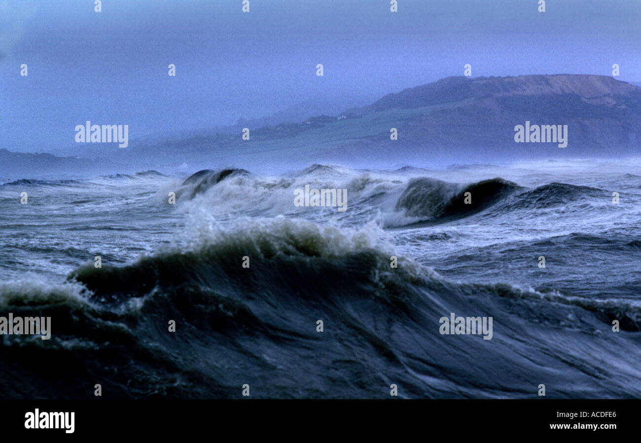 English channel in dorset hi-res stock photography and images - Alamy