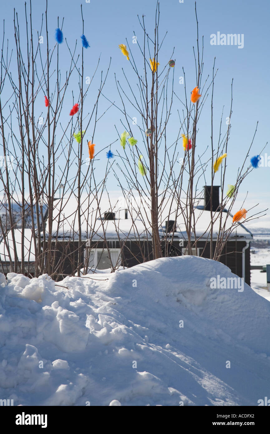Coloured feathers attached to the branches of a bush, serving as a ...