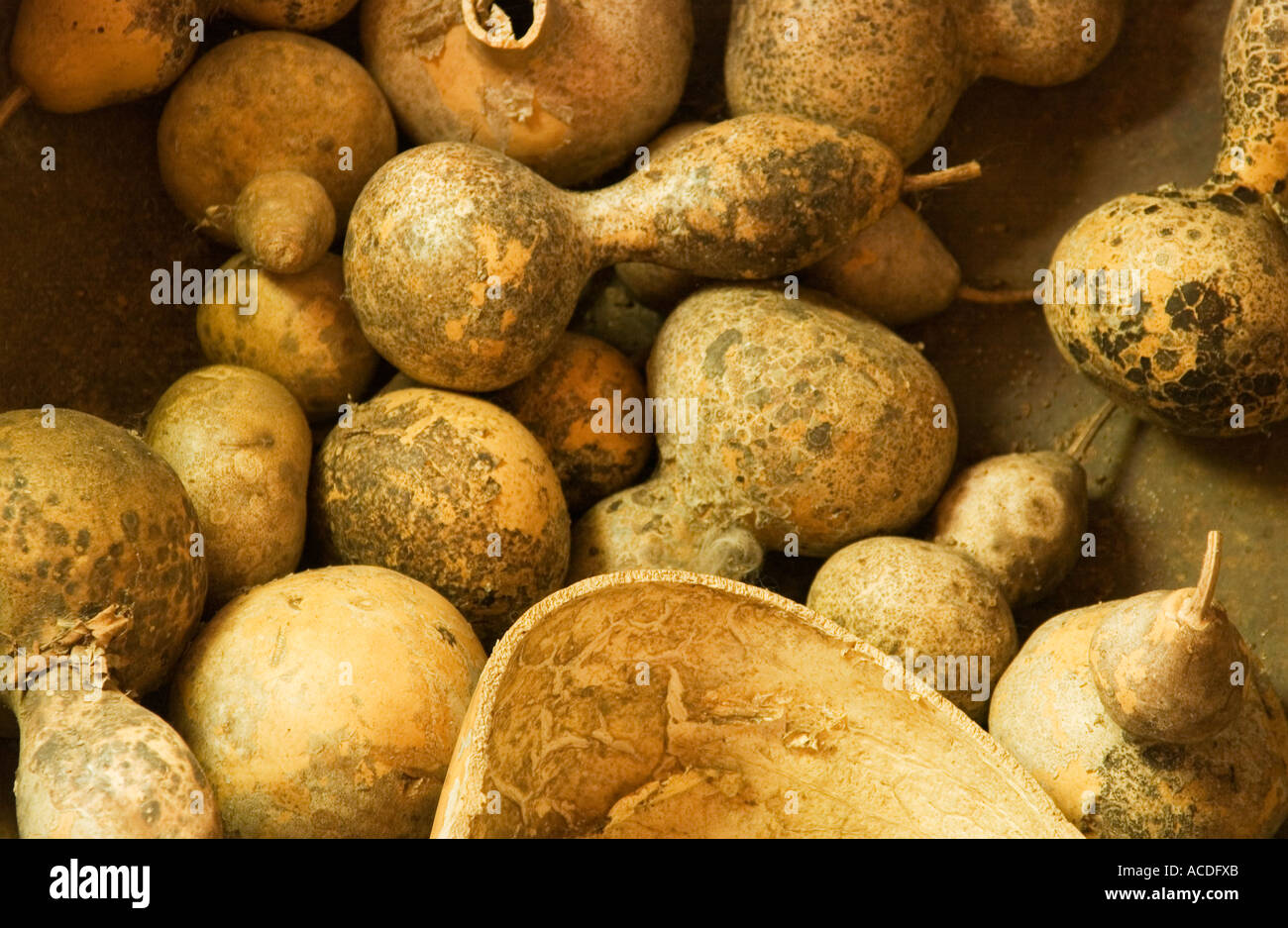 Numerous uses hi-res stock photography and images - Alamy