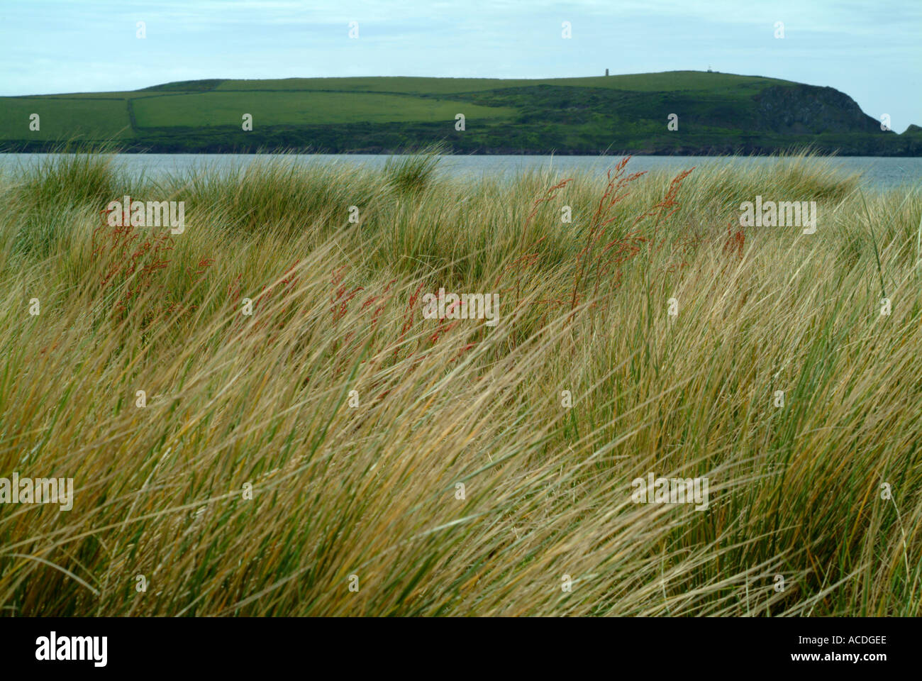 View over the Camel Estuary from Rock Beach Cornwall England UK Stock ...