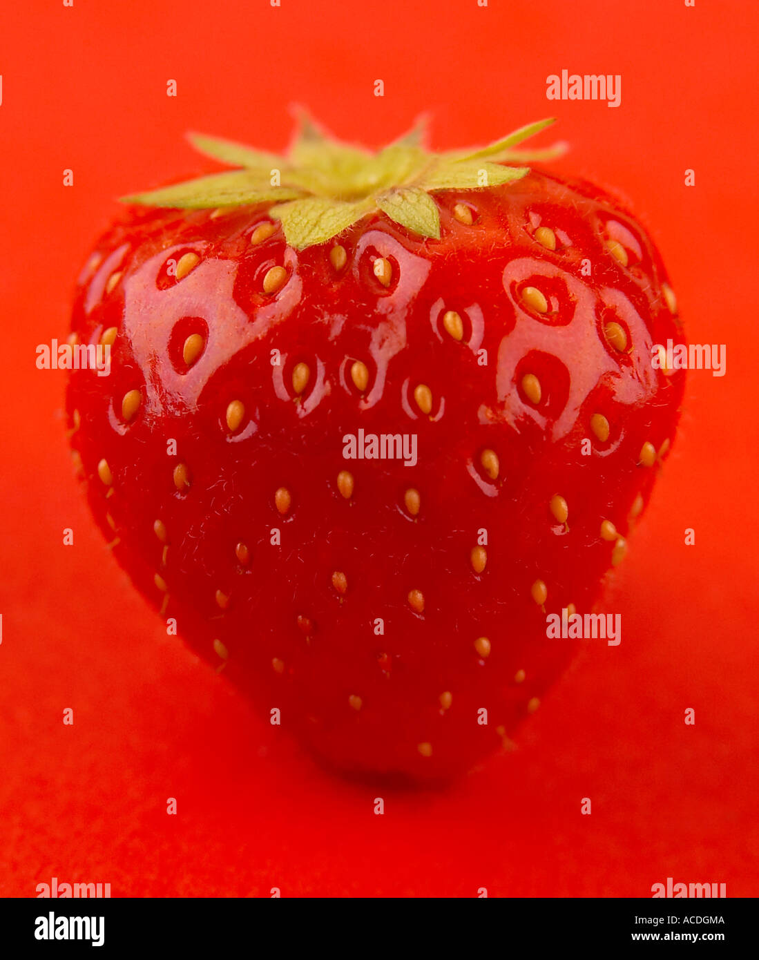 Sow berry seed hi-res stock photography and images - Alamy