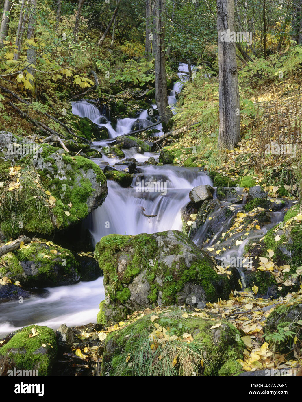 geography / travel, USA, Alaska,landscapes, Falls Creek, waterfalls in ...