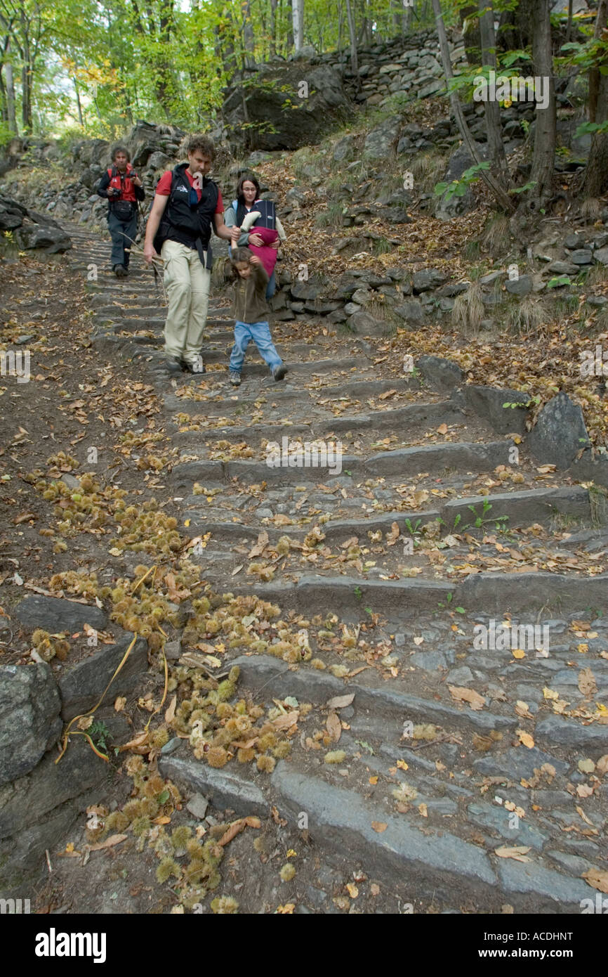 Family walking down stone steps of path through the chestnut woods of ...